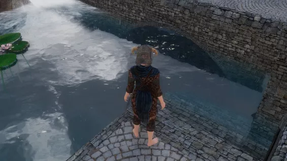 Whiterun Pool - Swim Through パッチ - Skyrim Special Edition Mod データベース ...