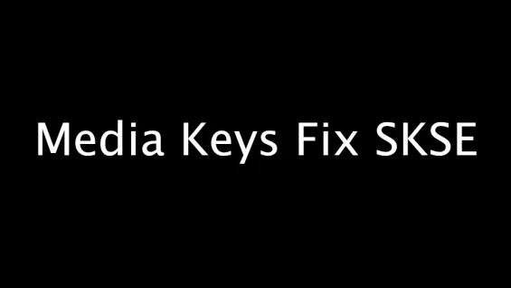 Media Keys Fix SKSE バグフィックス - Skyrim Special Edition Mod データベース MOD紹介 ...