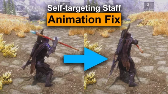 Self-targeting Staff Animation Fix - Dynamic Animation Replacer - Open ...