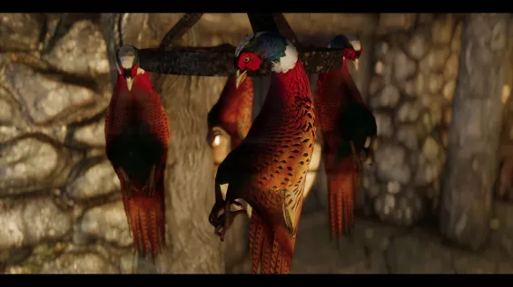 Hanging Dead Pheasants Replacer- Mihail's Shards of Immersion (SE-AE ...