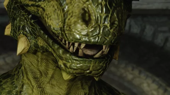 Argonian and Khajiit Teeth FIx モデル・テクスチャ - Skyrim Special Edition Mod ...