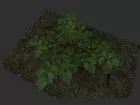potato bushes realistic version SE モデル・テクスチャ - Skyrim Special Edition ...